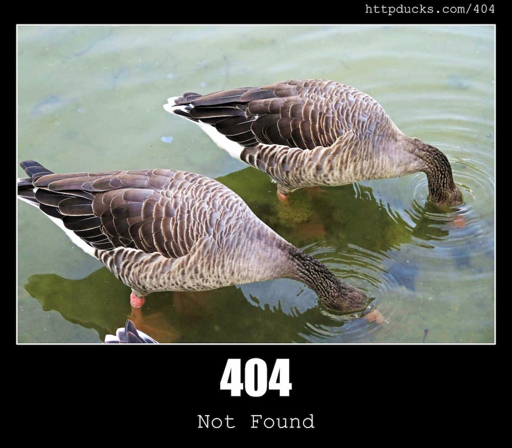 HTTP Status Ducks API - A duck image for every HTTP Status Code